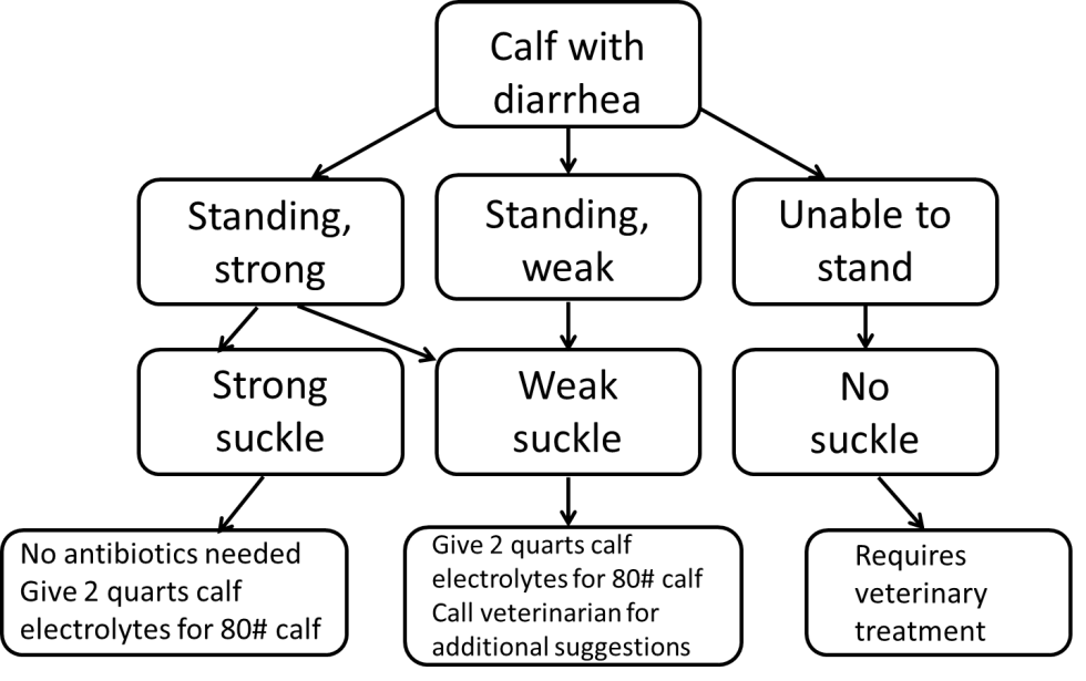 On-Ranch Decision Making for Calf Scours - Large Animal Consulting ...